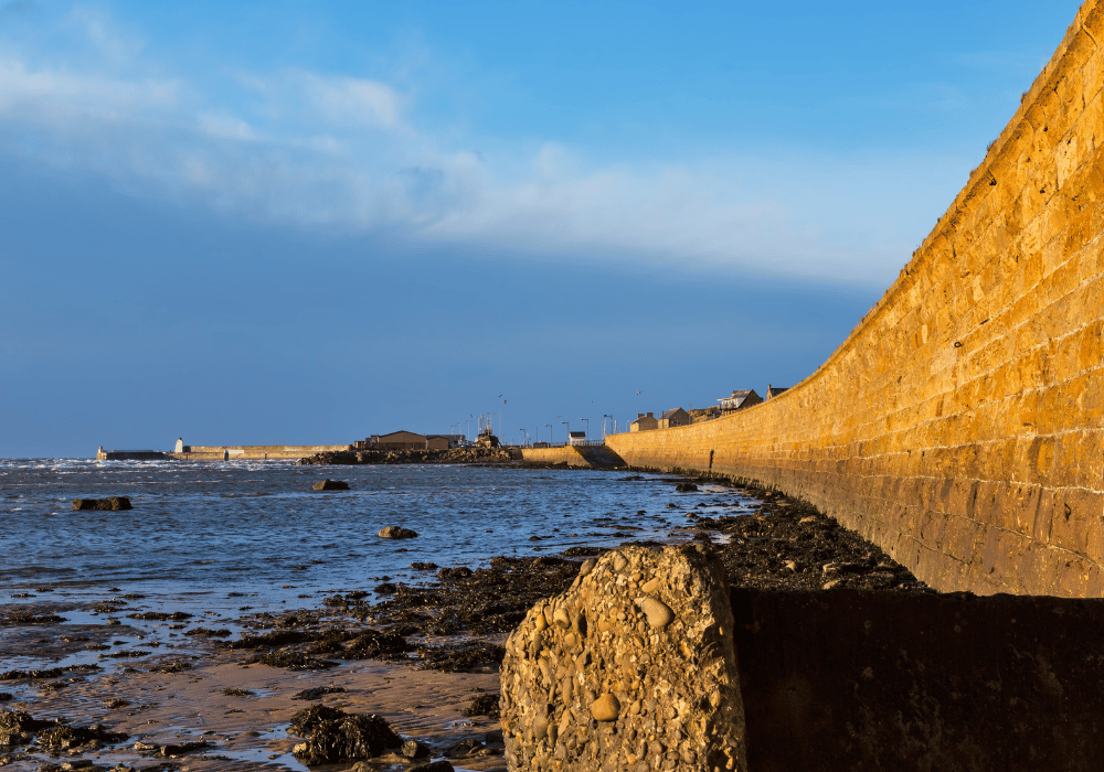 How Shoring Walls Help Shoreline Restoration | KB Shoring